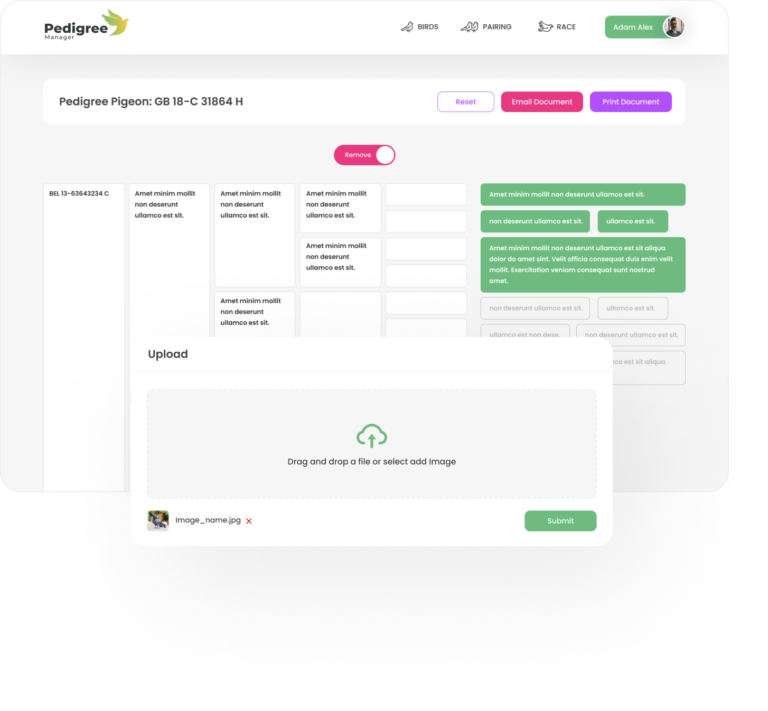 Racing Pigeon Pedigree Software | Pedigree Manager | Voted No 1