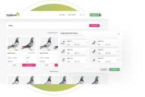 Racing Pigeon Pedigree Software | Pedigree Manager | Voted No 1